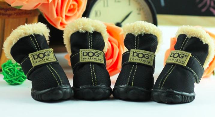 Shoes and Boots – K9 Couture Inc.